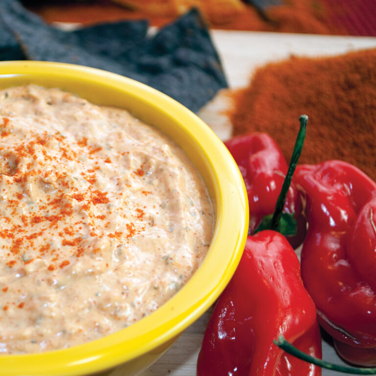 Habanero "Hot" Dip - Dip'n Good Dips